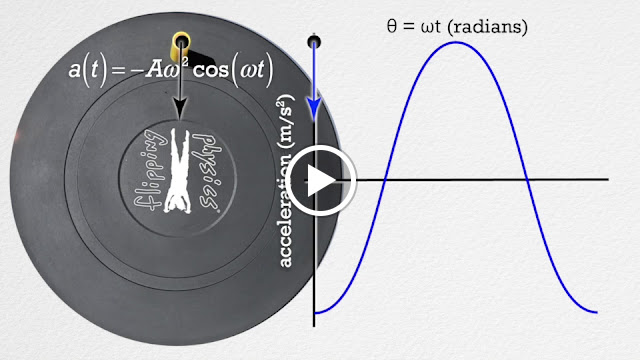 Simple Harmonic Motion Graphs