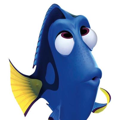 Just Watching the Wheels Go Round: Finding Nemo, Too?