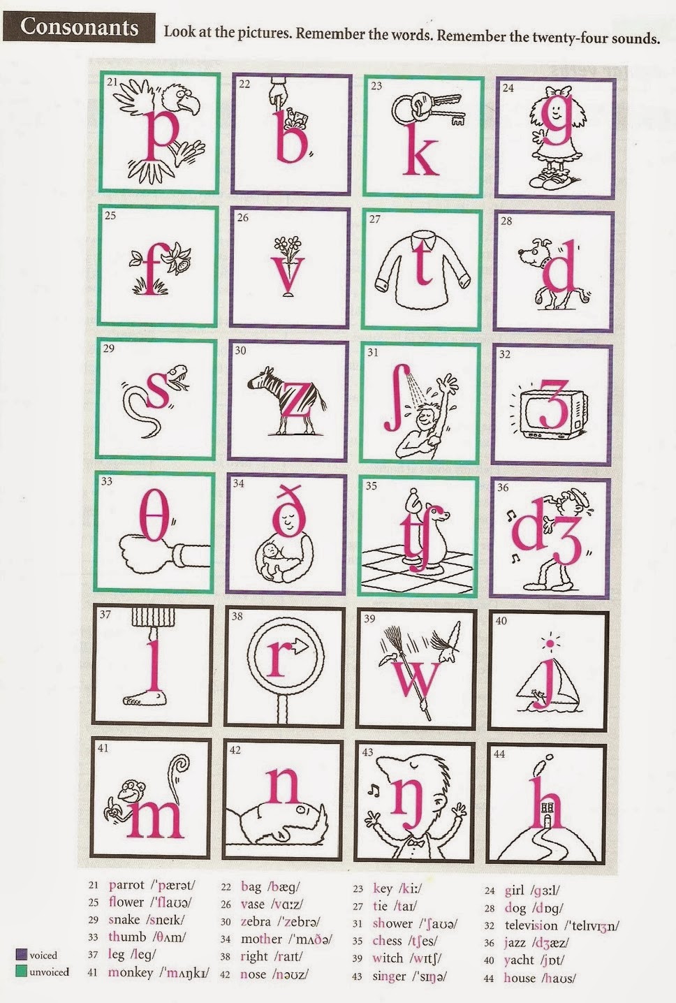 ENGLISH CHATROOM - Inma's corner: PHONETICS