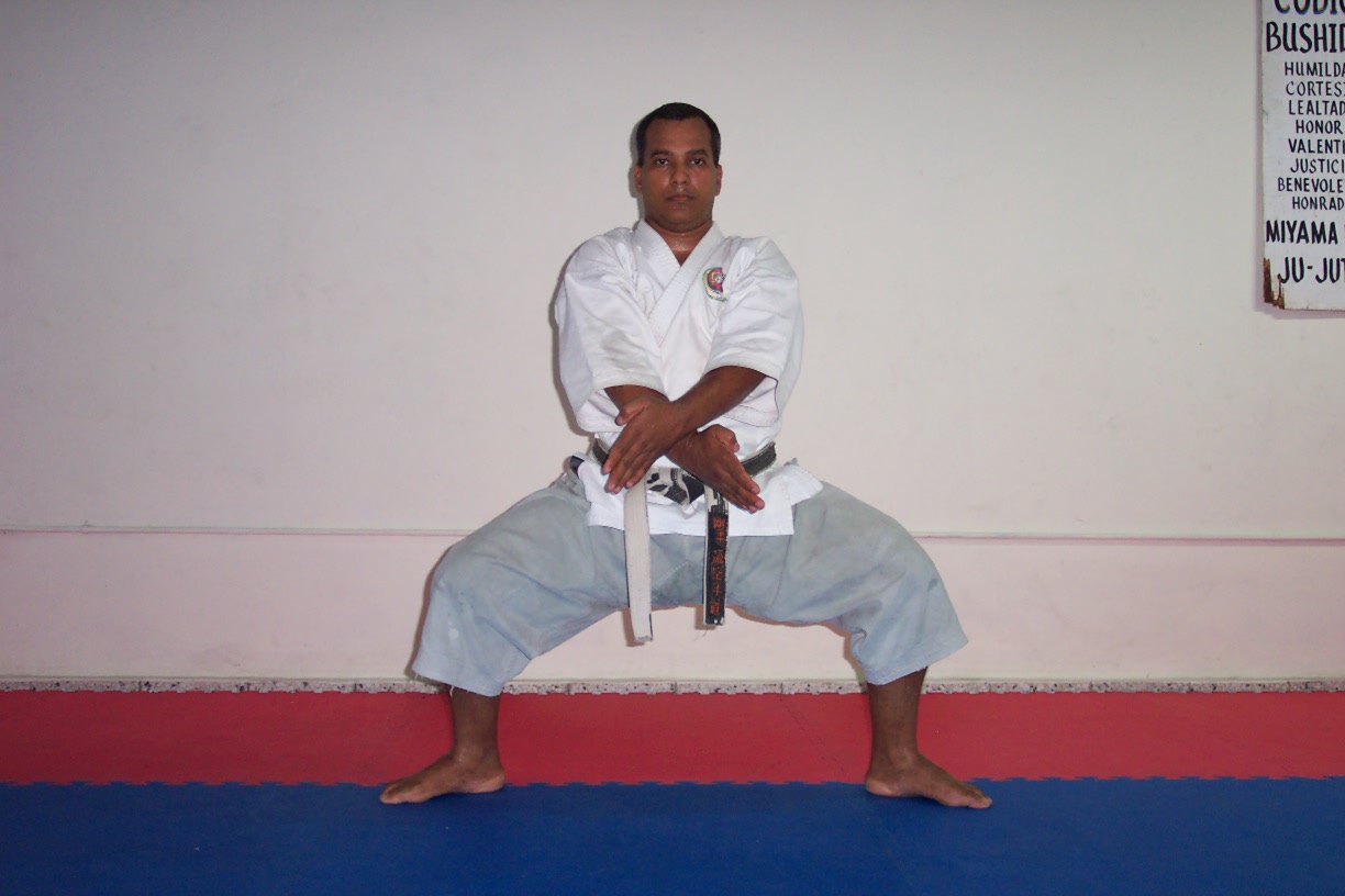 OKAMURA HOMBU DOJO: Técnicas de bloqueos (Uke waza) Goju Ryu.