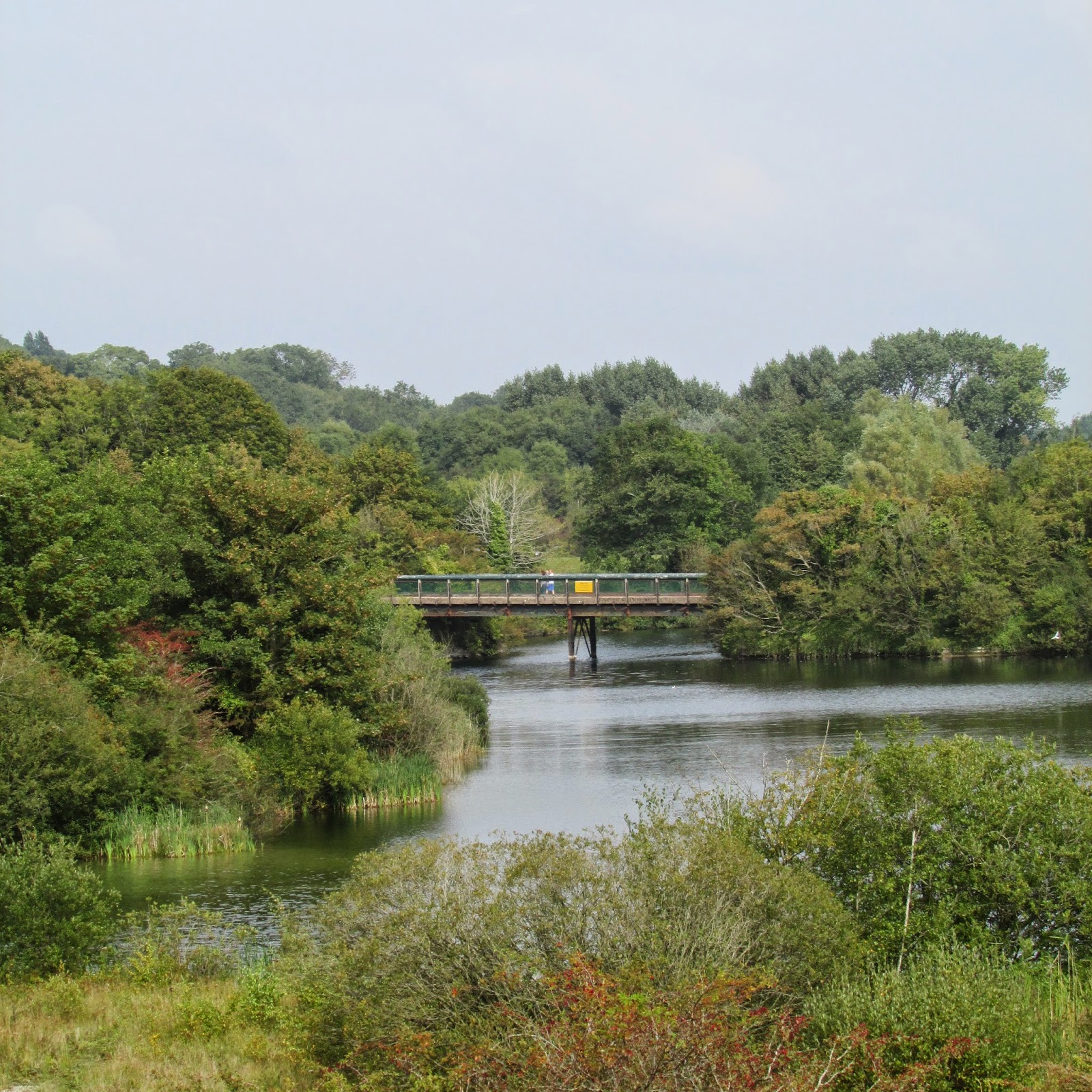 yorkiestyles: Exploring...Cosmeston Lakes