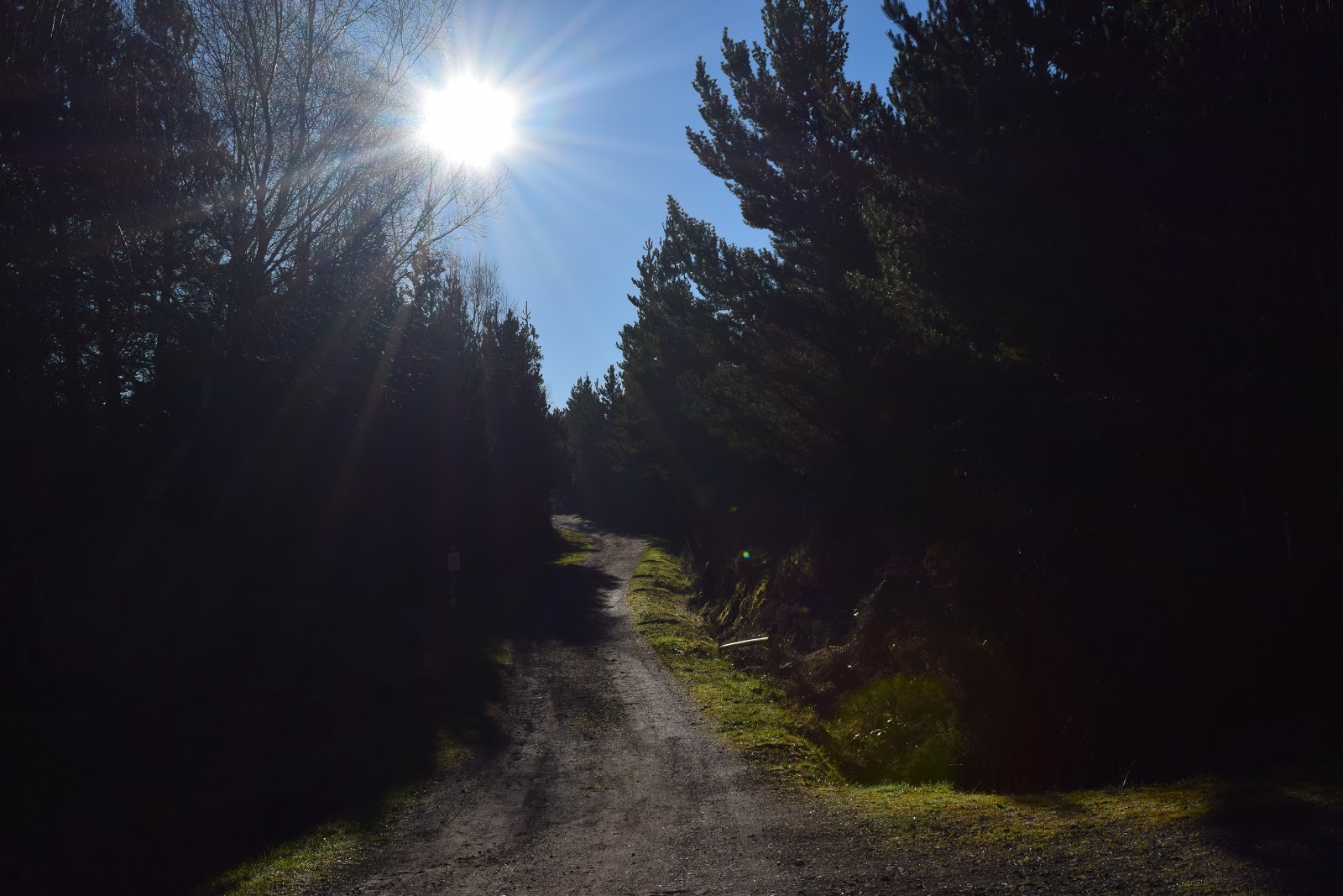 A View With A Brew: Lough Muskry