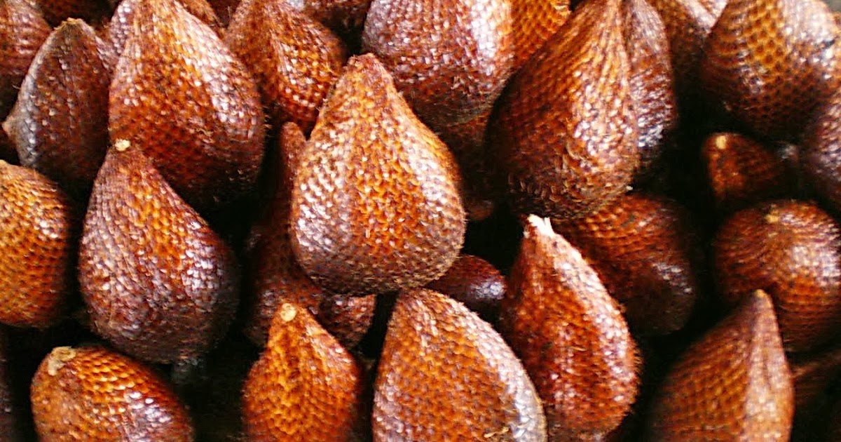 Djaboeran Van Pondoh | KOEAING