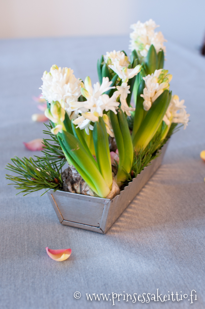 Prinsessakeittiö: Joulukukka-asetelmat DIY - 8. luukku