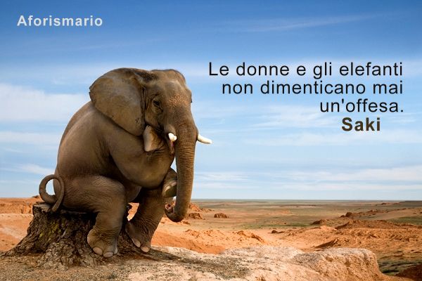 Aforismi, frasi e proverbi sull'Elefante | Aforismario