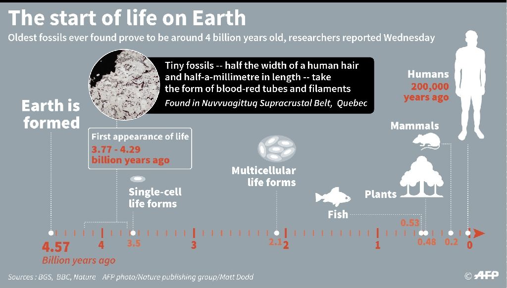 Cempaka Eco Green: Fossils point to life on Earth 4 billion years ago