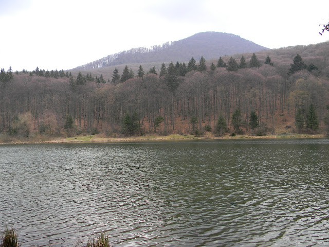 Blog de Calatorii si Drumetii Montane.: Lacul de la Codlea ,jud.Brasov ...