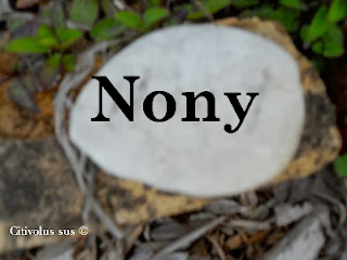 citivolus sus: Erlicheer, Itzim, N. Pseudonarcissus, Nony