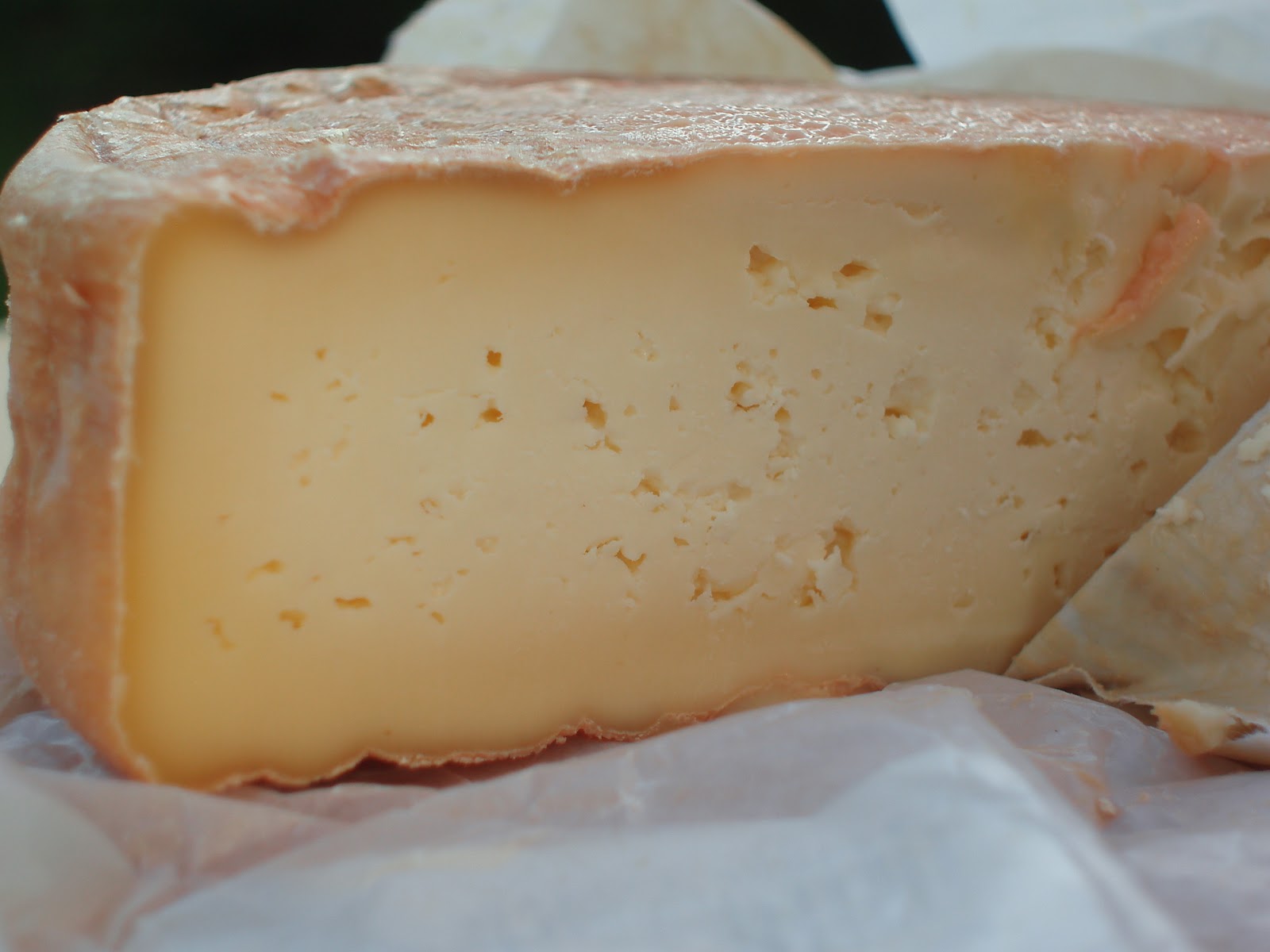 A Portrait of the Artisan: Cheese tasting at Waterford Food Festival