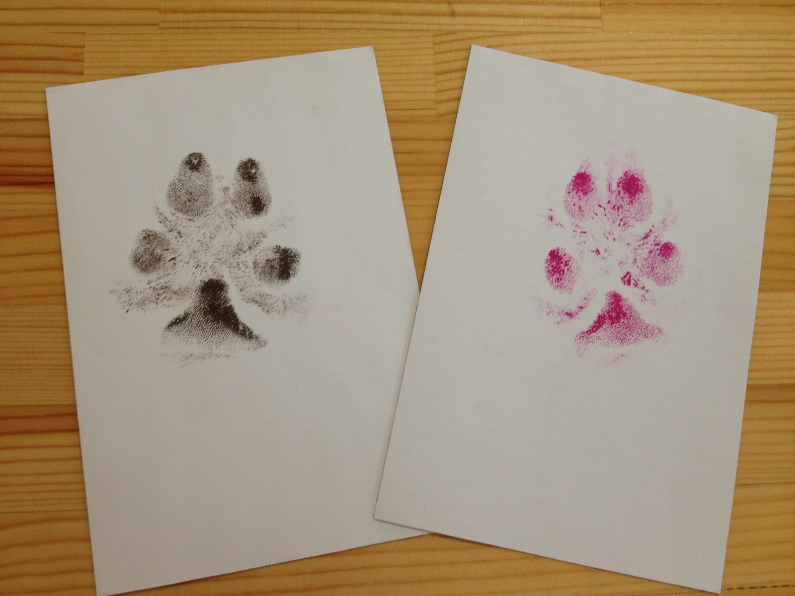Southern Wag Pet Accessories: Framed Paw Print Tutorial