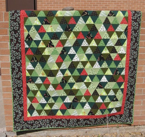 Quilting Blog - Cactus Needle Quilts, Fabric and More: Christmas ...