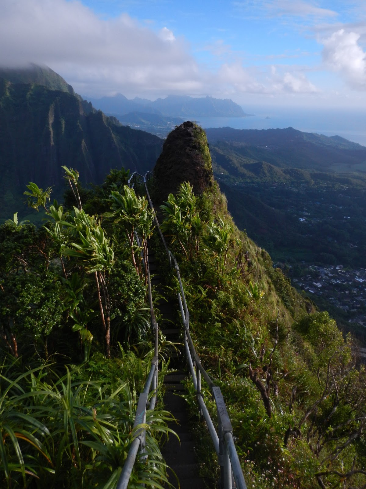 Haole Hiking: Haiku Stairs: The Forbidden Fruit