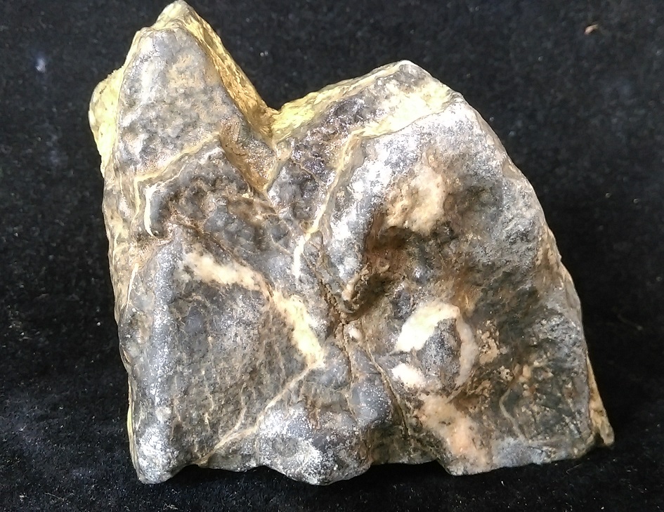 Archaeology of Portable Rock Art: Pleistocene Coalition News mammoth ...