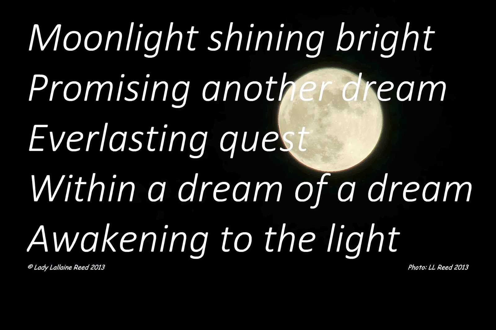 Lady Lallaine Reed's Positive