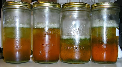 WEED4GOOD: Make Hash Using Cold Water Extraction