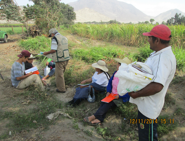 AGENCIA AGRARIA TRUJILLO: CAPACITACIÓN A AGRICULTORES EN ESCUELA DE CAMPO