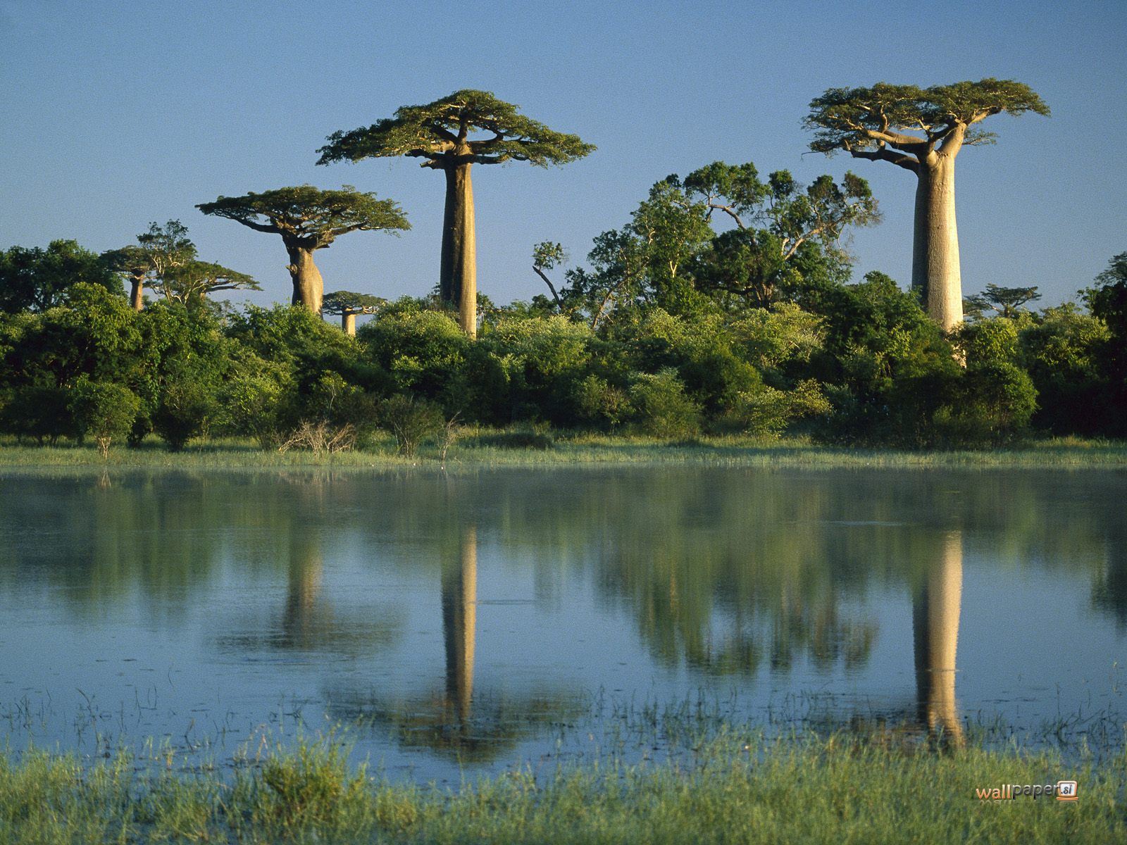 Madagascar island - THINGS TO ADMIRE