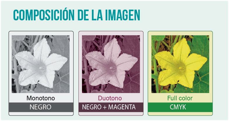 POLIGRAF: GUÍA PRÁCTICA IMPRESIÓN III - COMPOSICIÓN DE LA IMAGEN