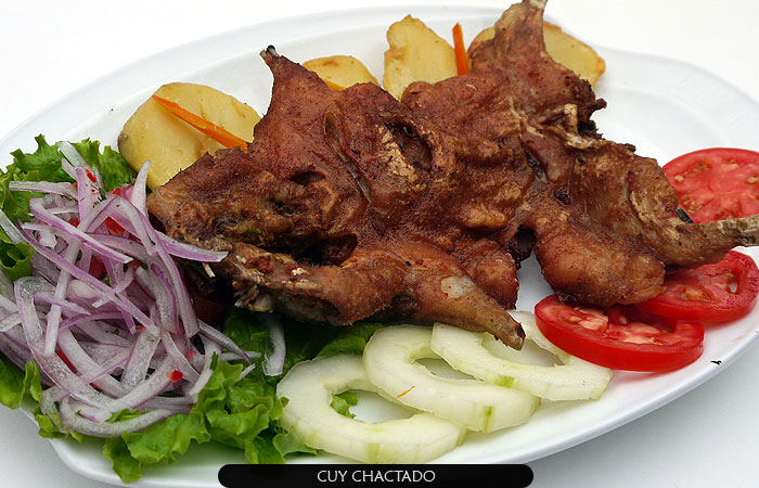 La carne de cuy es una excelente opción saludable en estas fiestas ...