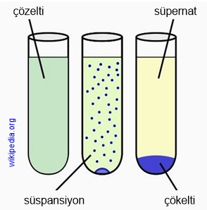 Prof. Dr. Bilsen Beşergil: Süpernat (supernate)