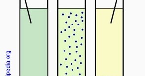 Prof. Dr. Bilsen Beşergil: Süpernat (supernate)