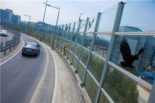 'Bird saver walls' put up to prevent birds from dying to glass walls
