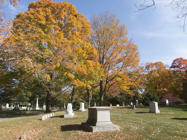 North American Cemeteries: 2013