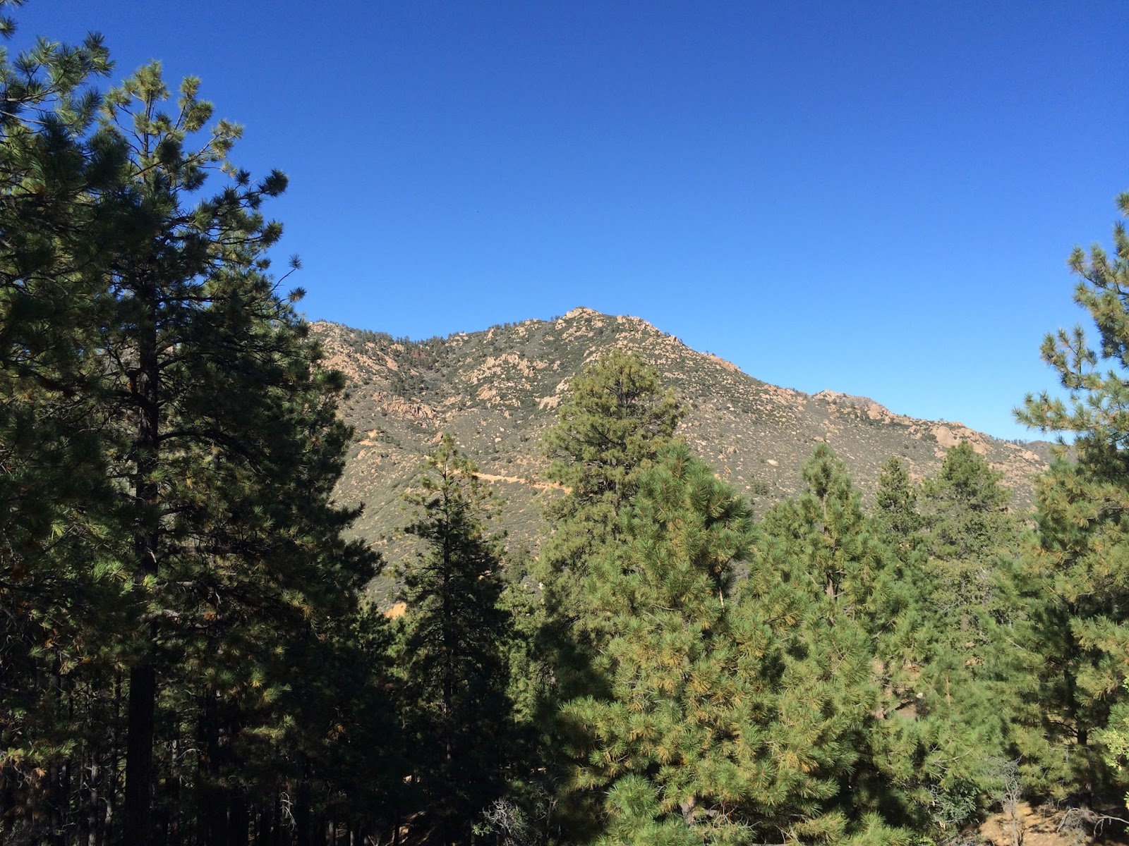 Hiking the Hualapai Mountains
