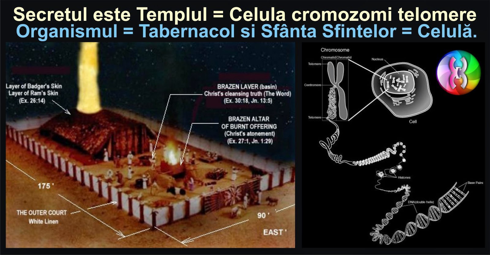 Secrete in Plan : Semnificatia Templului lui Solomon - "The true Man of ...