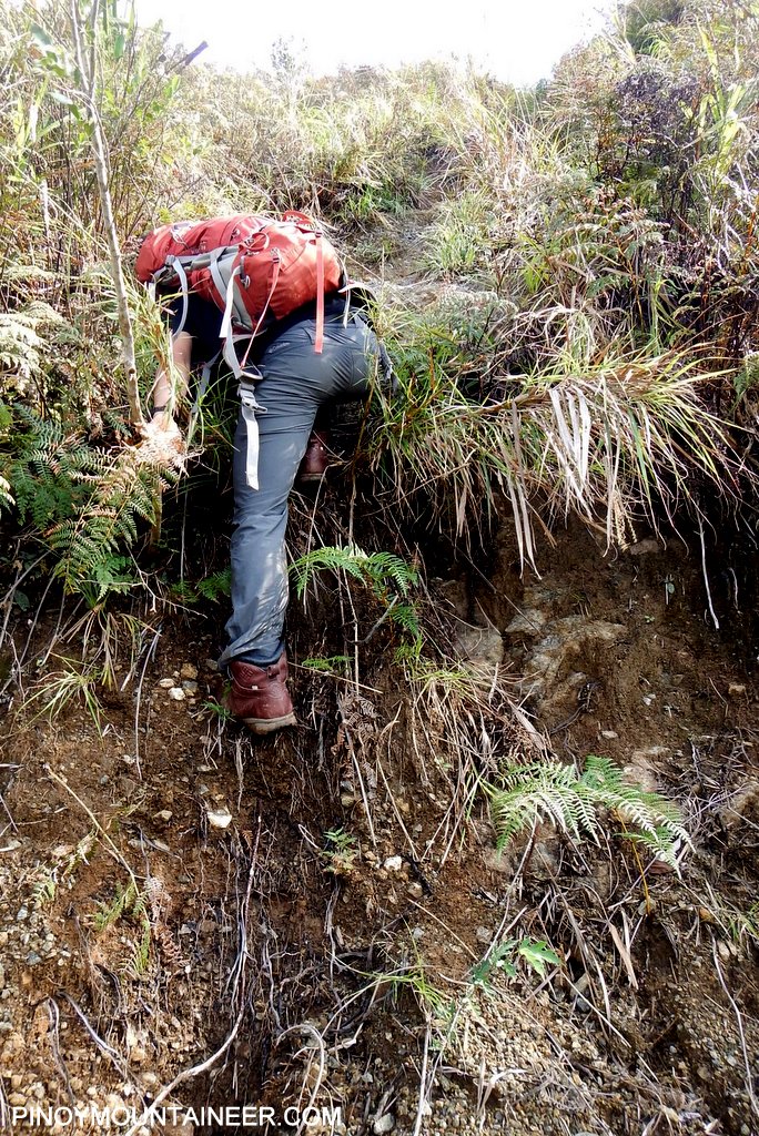 Hiking matters #362: Hiking up Mt. Mayapay in Butuan City, Agusan del ...