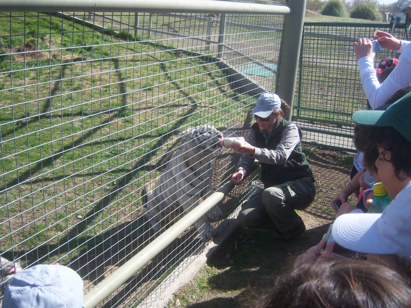 VALLE de la PATAGONIA: El Colegio AMEN en el zoo Bubalco