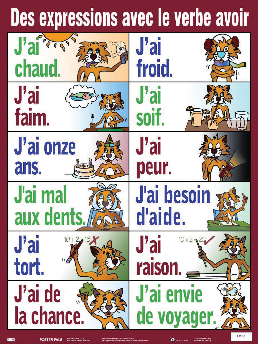 Picasso parlait français: Le verbe avoir (présent)