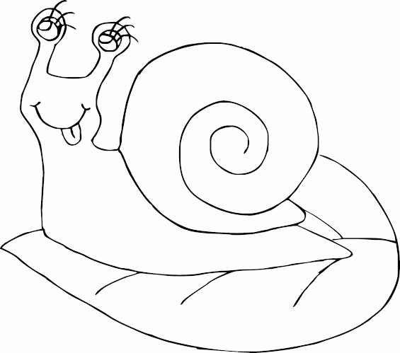 Mewarnai Gambar " Siput Diatas Daun " - Contoh Anak PAUD