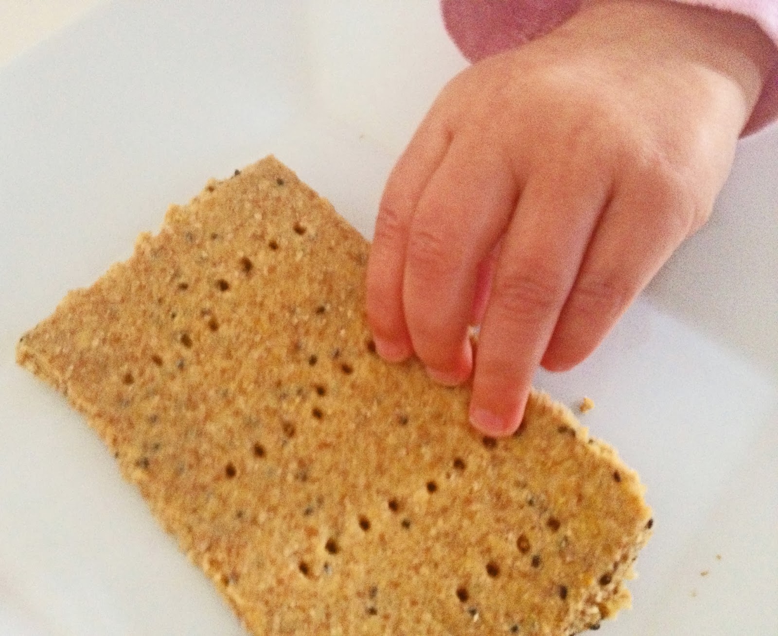 Loving Green: Chickpea Chia Crackers