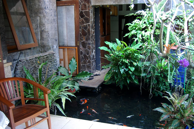 GALERY KOLAM KOI - GREEN GARDEN ASRI
