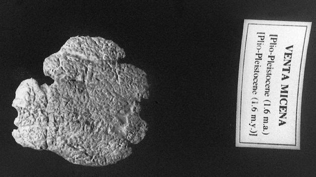 J.L.Tarazona: Misterios de la antigüedad: El hombre de Orce