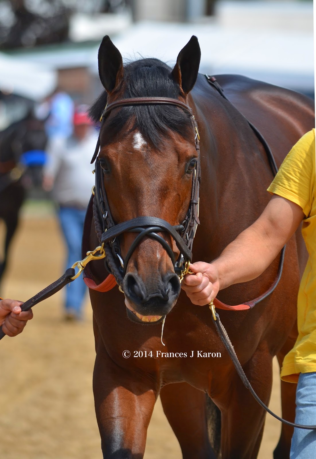 Running Rough Shod: 2014