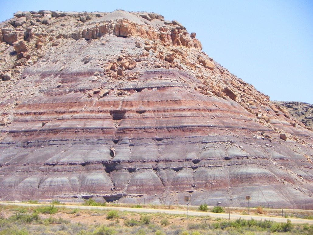 In the Company of Plants and Rocks: Little Bone House on the Prairie