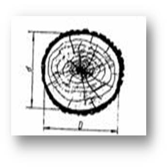 Defectele lemnului: Defecte de forma a trunchiului