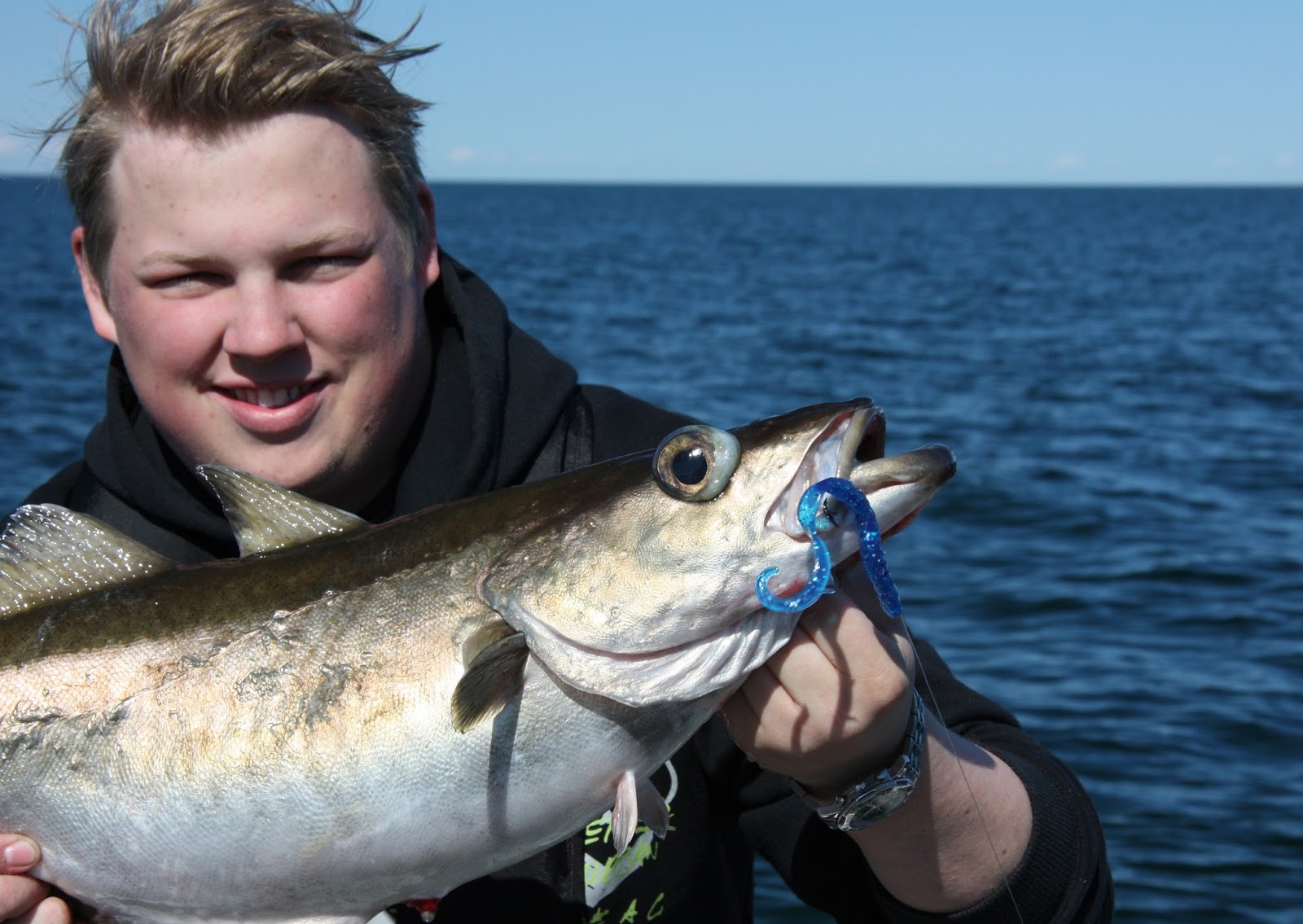 Team Isola: Roligare blekafiske