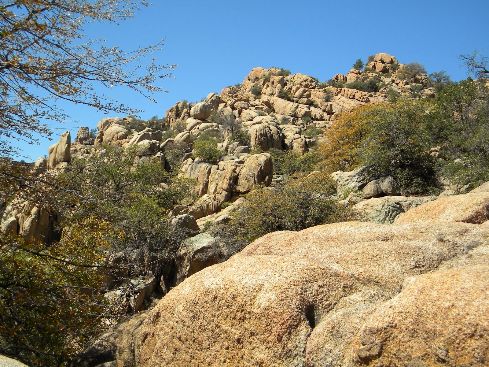 #PrescottAZHistory: Prescott was Hollywood for Silent Westerns