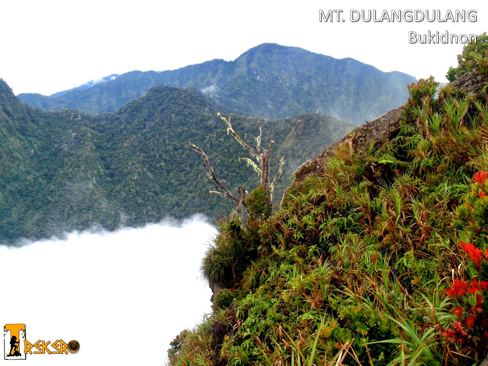 TREKERO: THE 20 MUST-VISIT TOURIST DESTINATIONS IN BUKIDNON