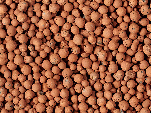 Hydro Media Tanam Hidroponik Pengganti Hydroton: Hydroton Tidak ...