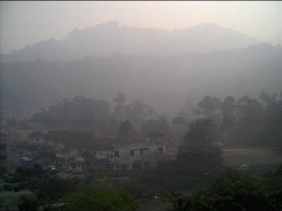 BAHASA ITU INDAH: ISU ALAM SEKITAR : JEREBU (Punca dan Langkah Mengatasi)