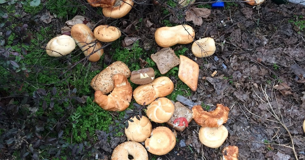 it's raining bread, hallelujah.