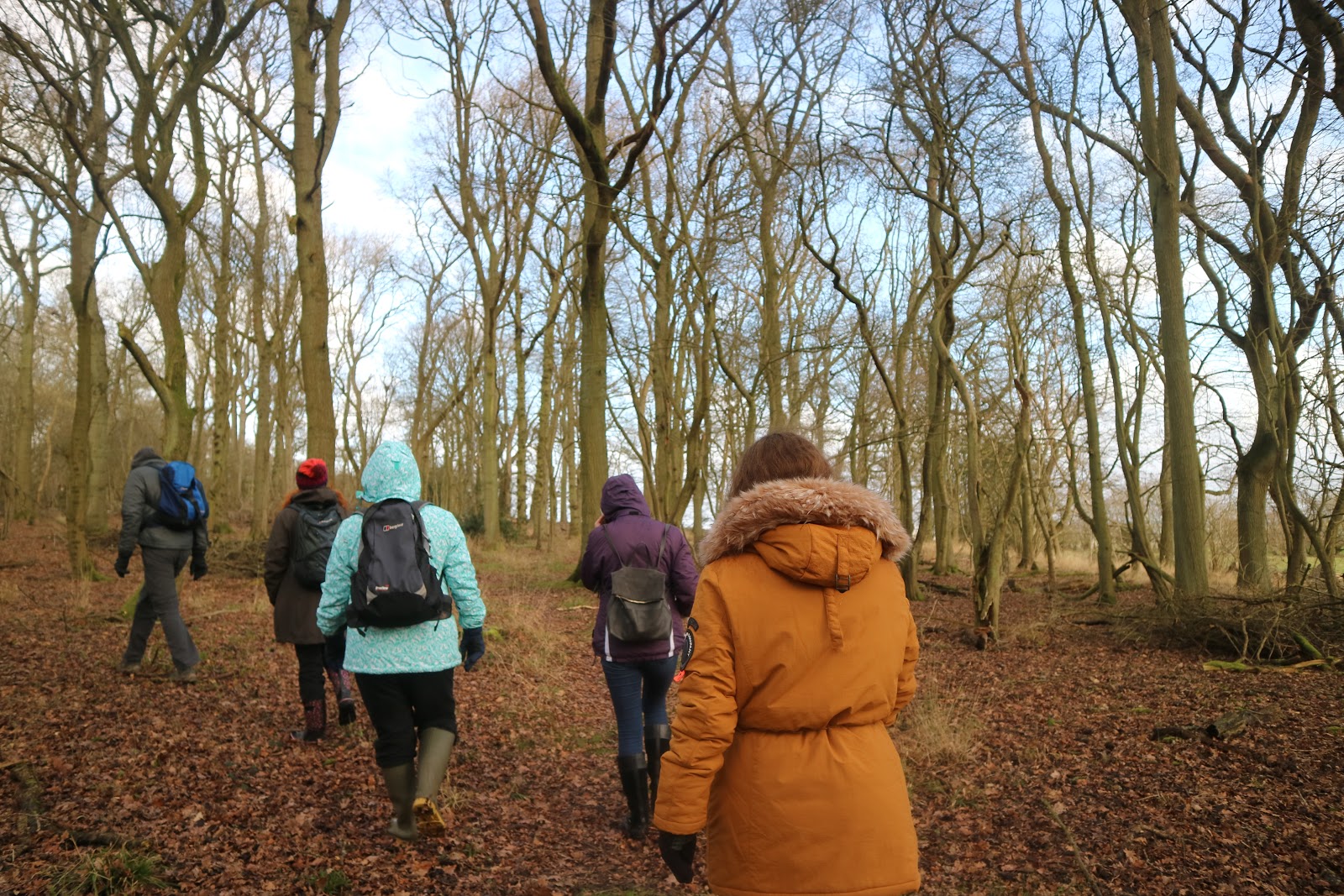 Mindfulness Woodland Walks - What's all the fuss about?