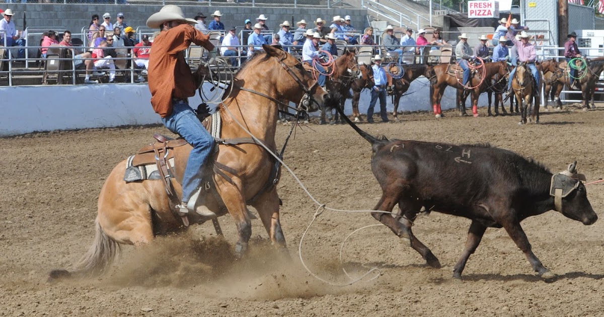 .: The Dun Stud Breeding