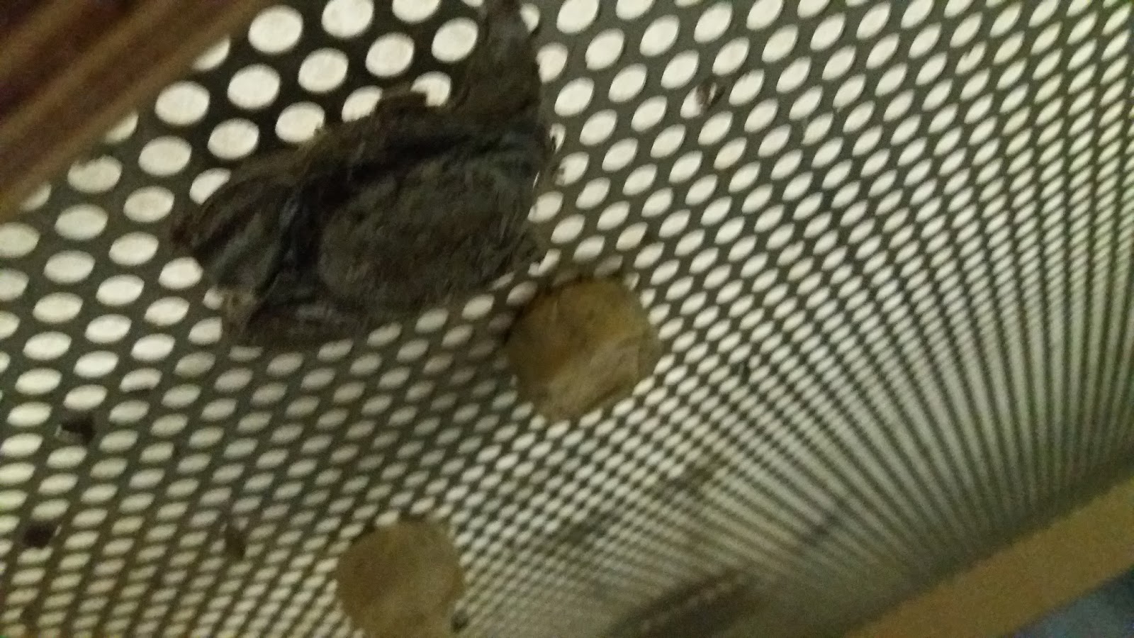 Tyler Carrigan Animation: Memory Project