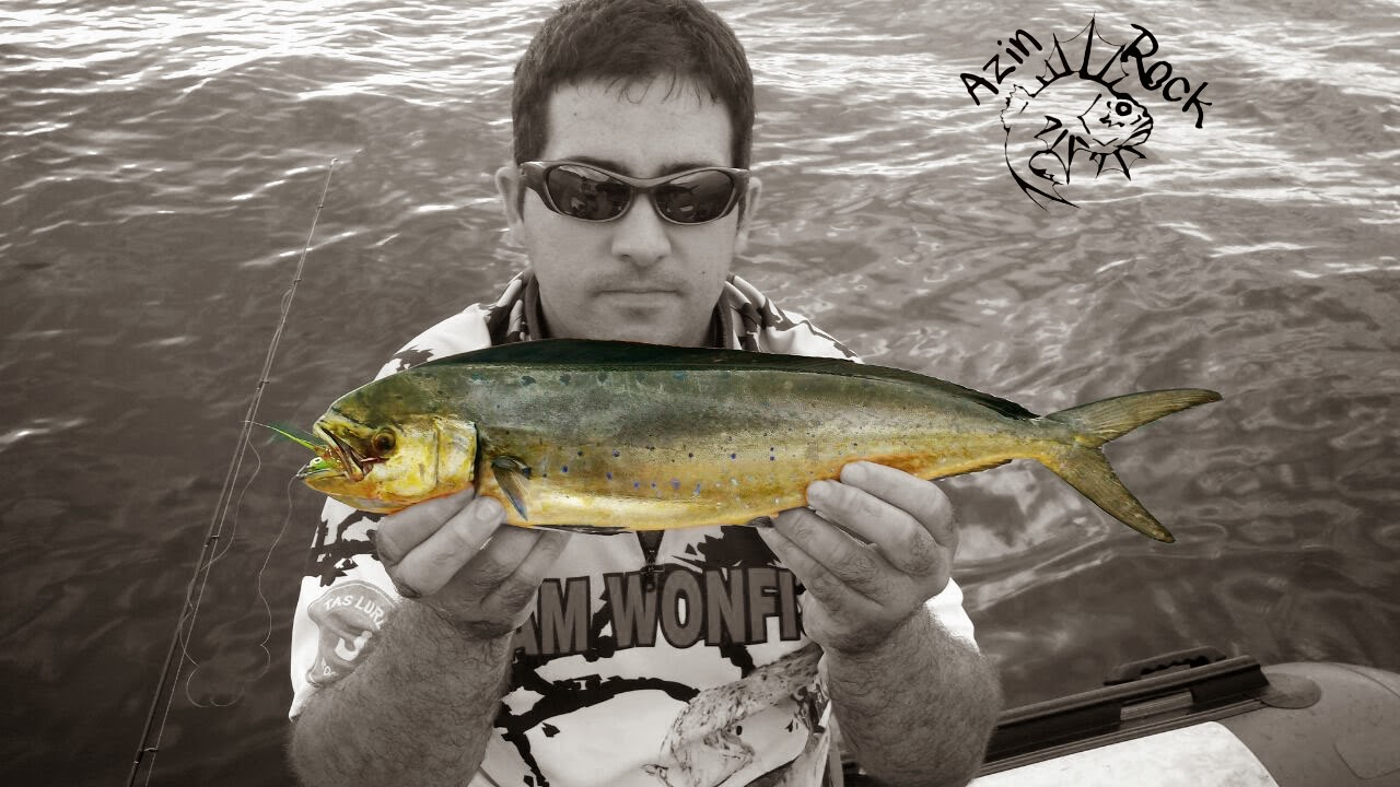 Pesca por Cataluña: Rockfishing - Mosca - Spinning - Eging: En buscas ...
