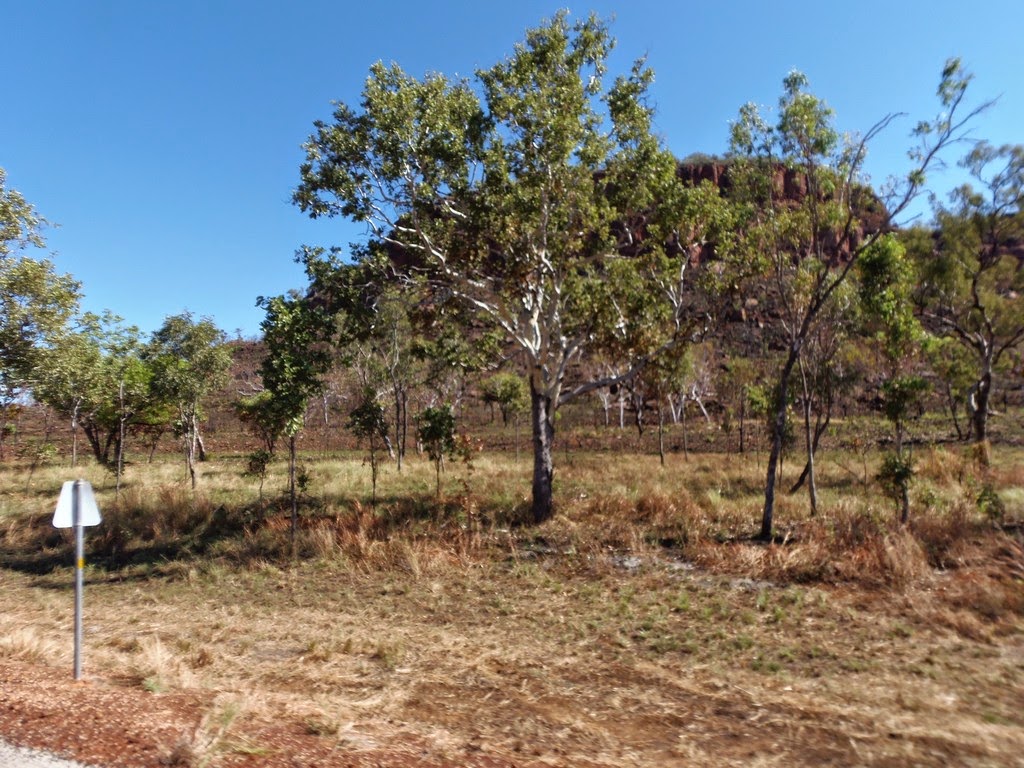 Solo Steve On The Road: VICTORIA RIVER ROADHOUSE NT